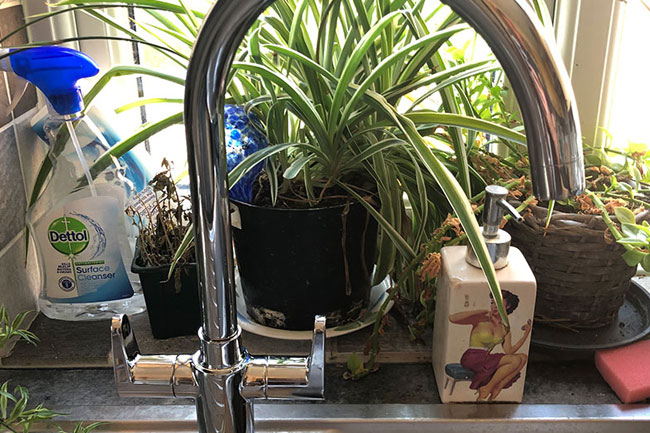 Bristan Kitchen Sink Tap Installation – Sidcup | Everest Heating & Plumbing